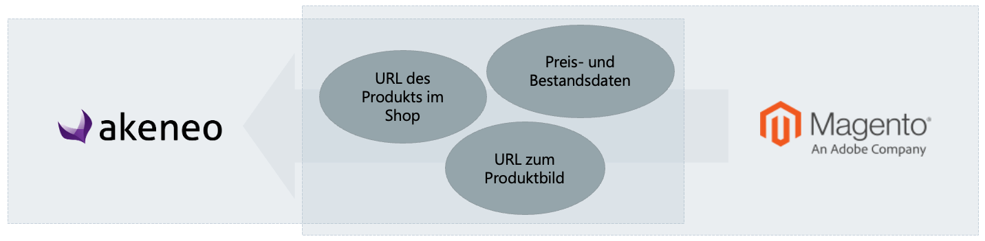 PIM-Integration für Magento | Optimierung mit netz98